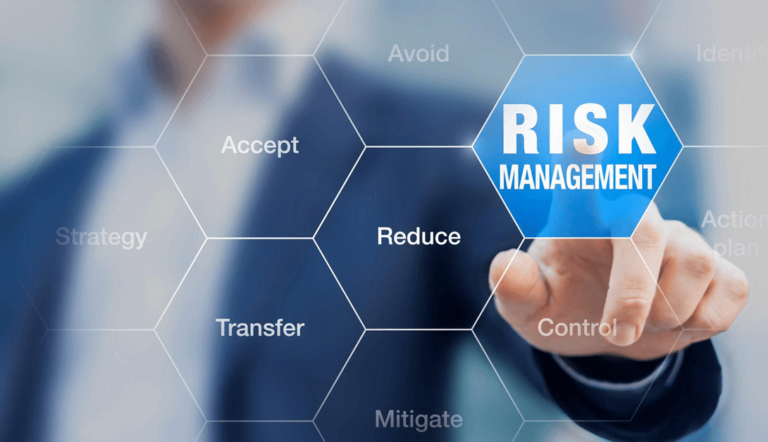 Risk Management Strategies for Small and Medium Enterprises - Arghajata